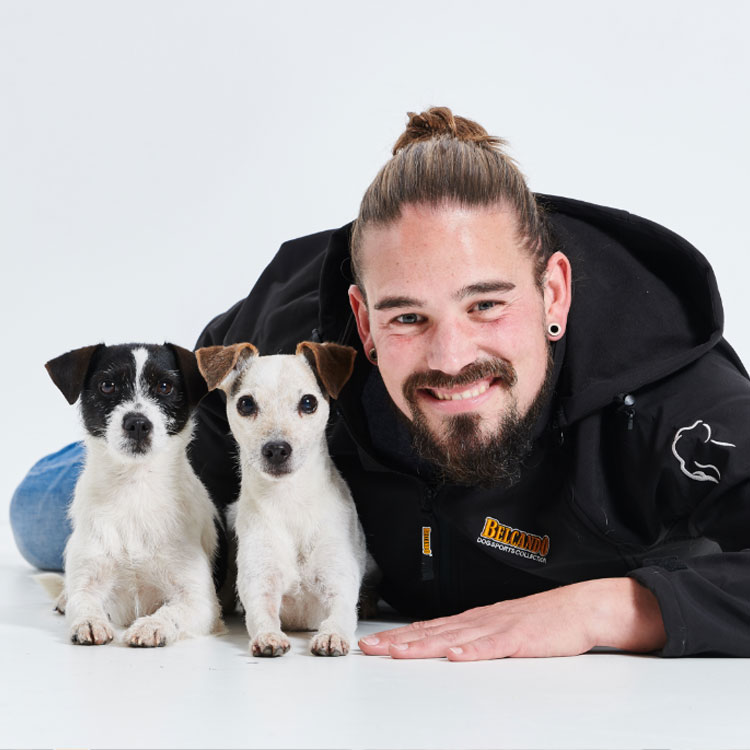 So bringst du deinem Hund "Sitz" bei | Tipps & Tricks | BELCANDO®